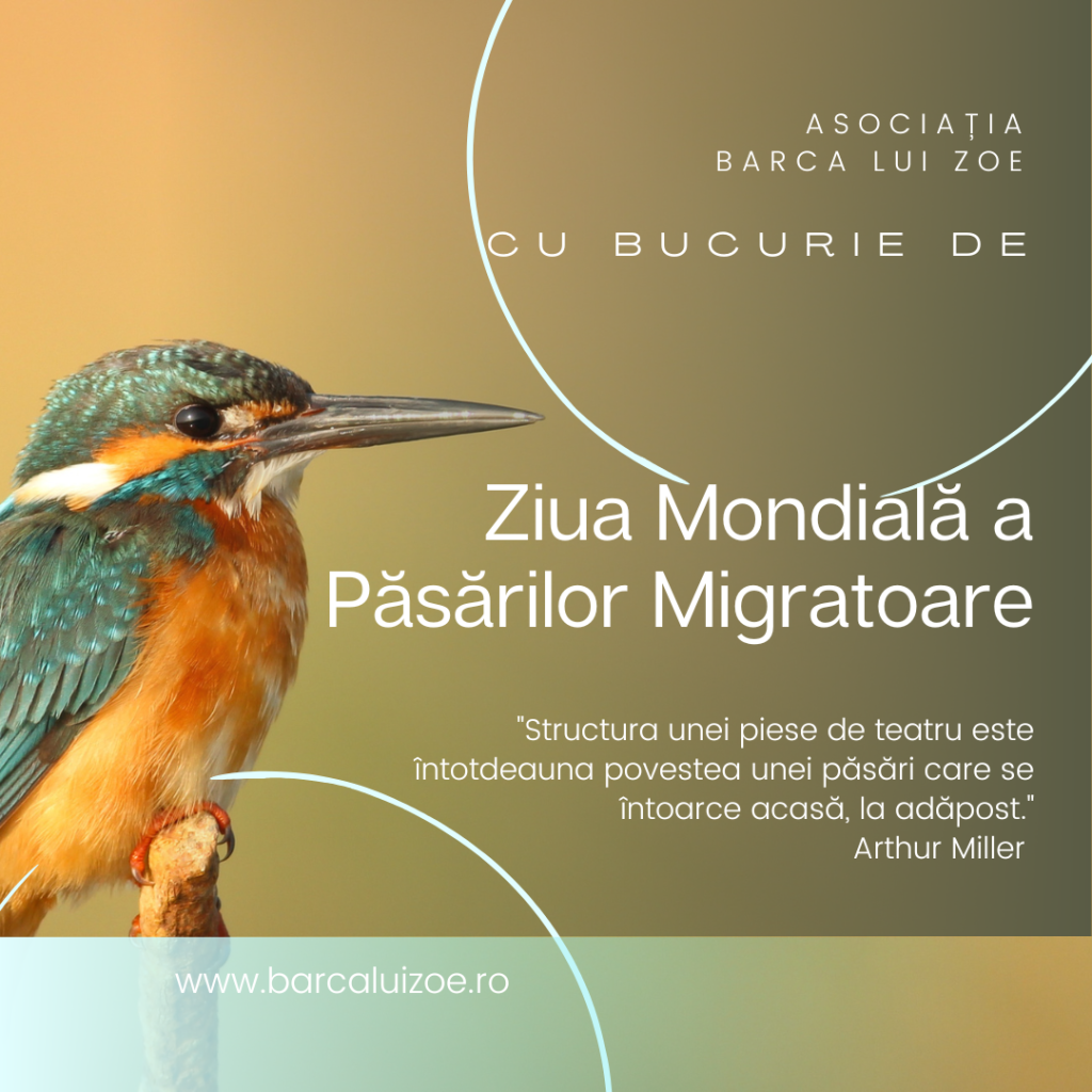 Protejarea păsărilor migratoare: Importanța practicilor fără risipă